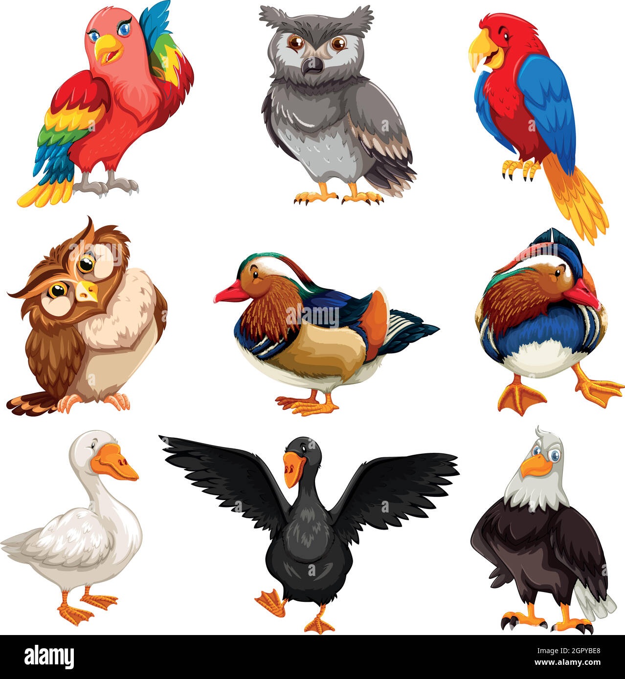Diverse birds Stock Vector Images - Alamy