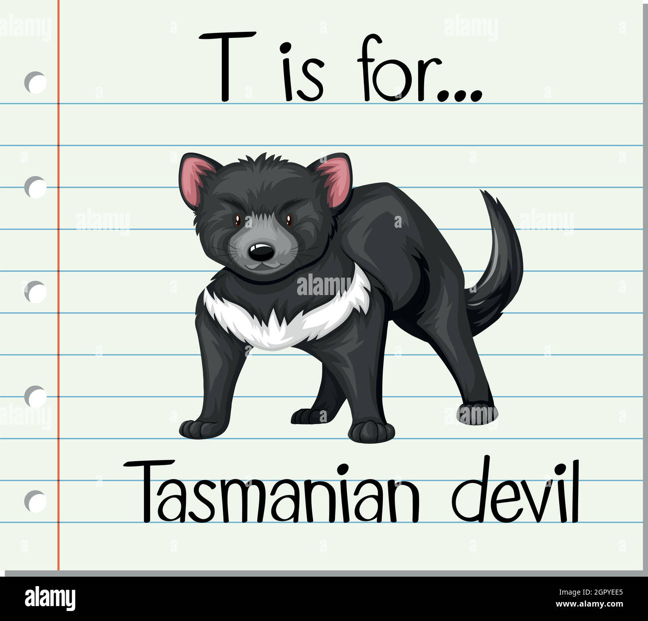 Flashcard letter T is for tasmanian devil Stock Vector Image & Art - Alamy