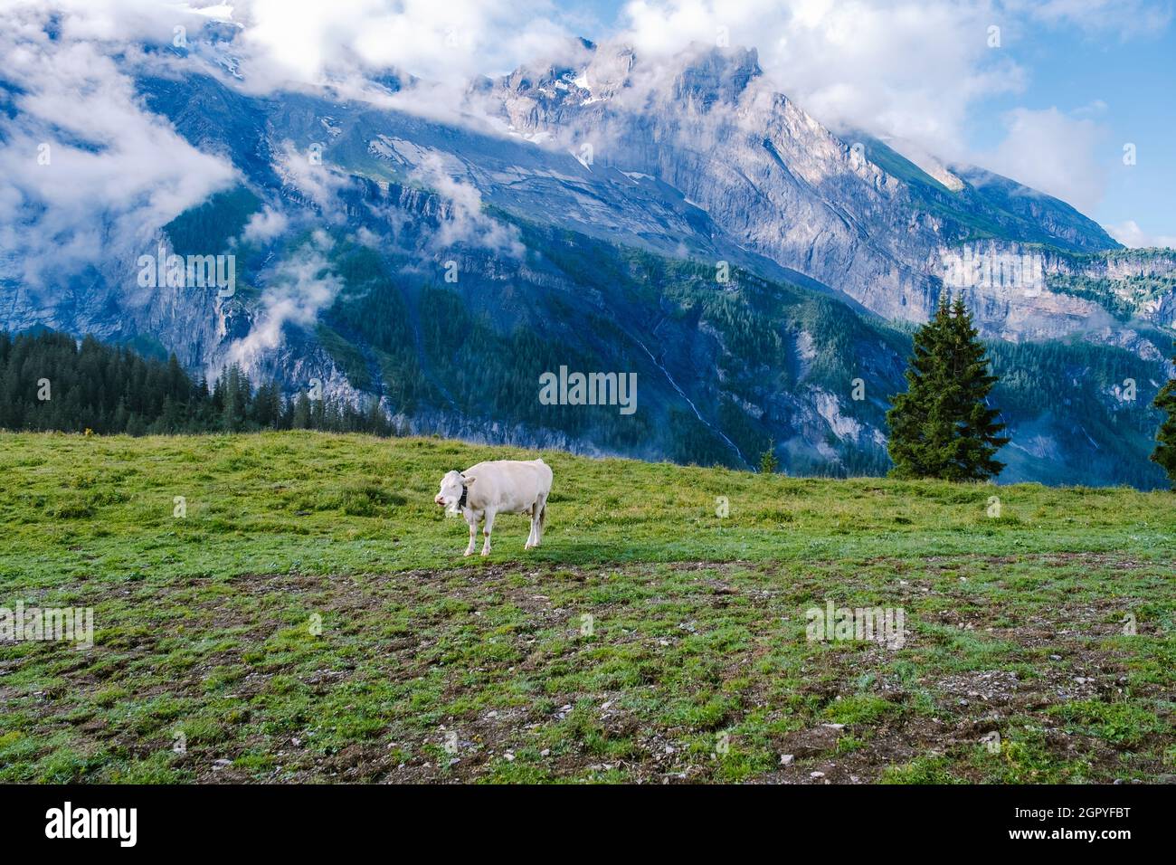 An attractive summer morning on the unique Oeschinensee Lake. A ...