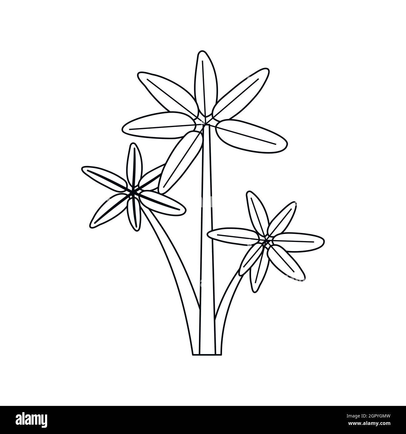 Palm tree line style Cut Out Stock Images & Pictures - Alamy