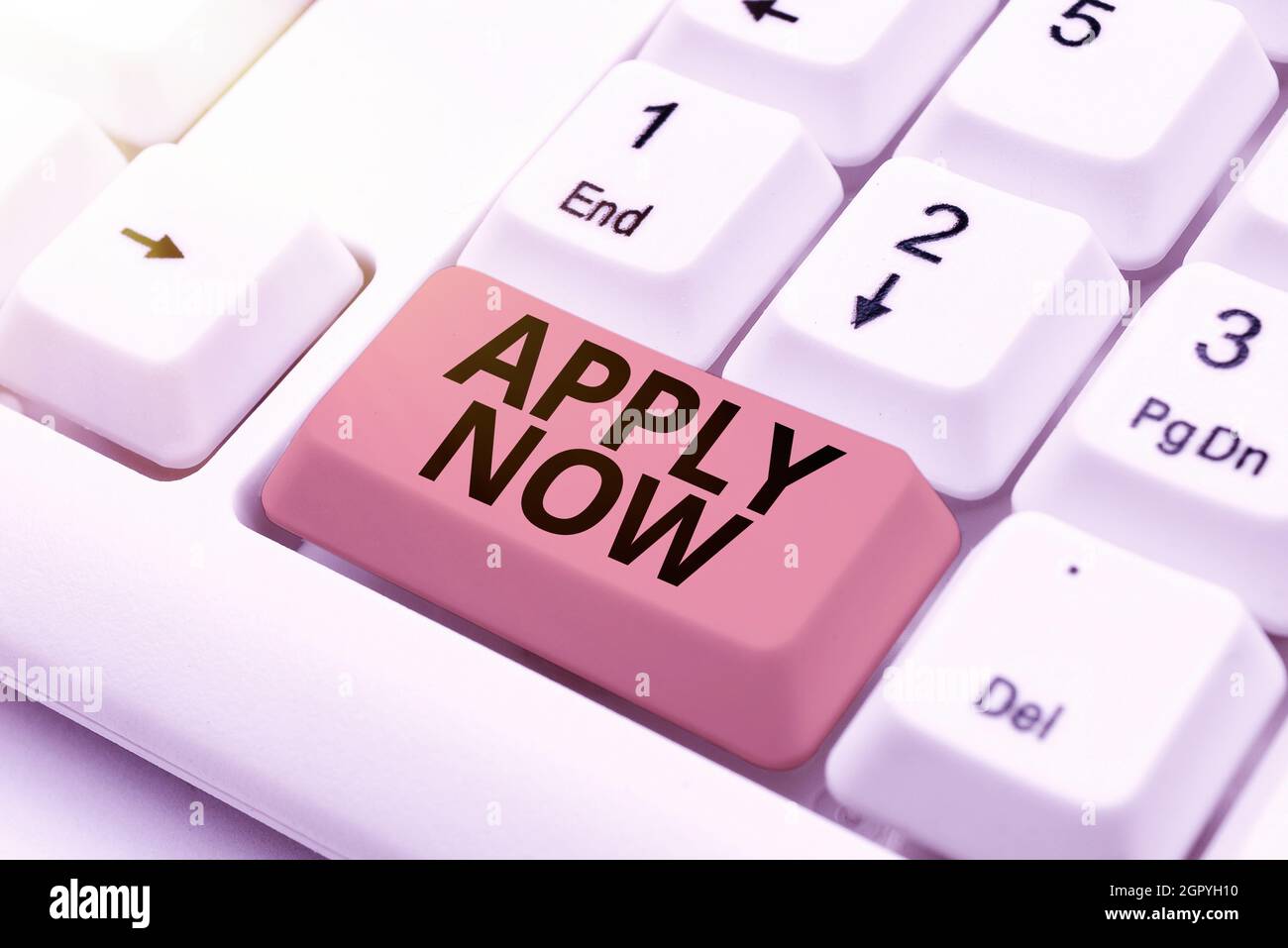 Conceptual caption Apply Now. Business concept request something ... Conceptual caption Apply Now. Business concept request something ...