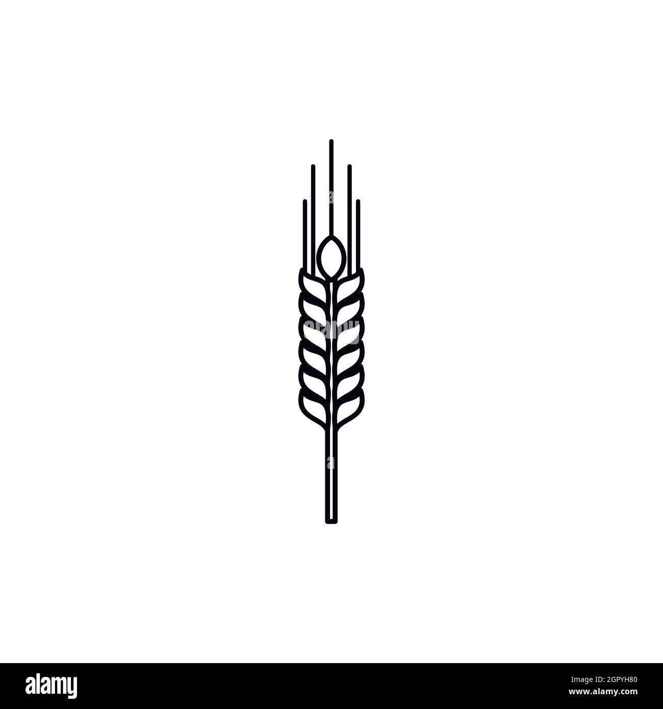 Barley bundle Cut Out Stock Images & Pictures - Alamy