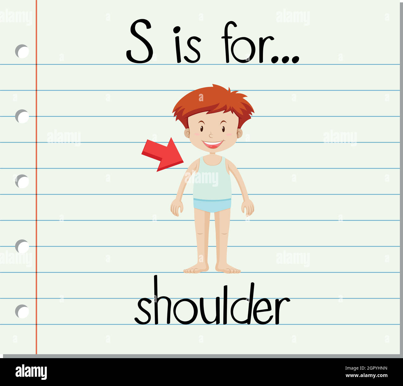 Flashcard letter S is for shoulder Stock Vector Image & Art - Alamy