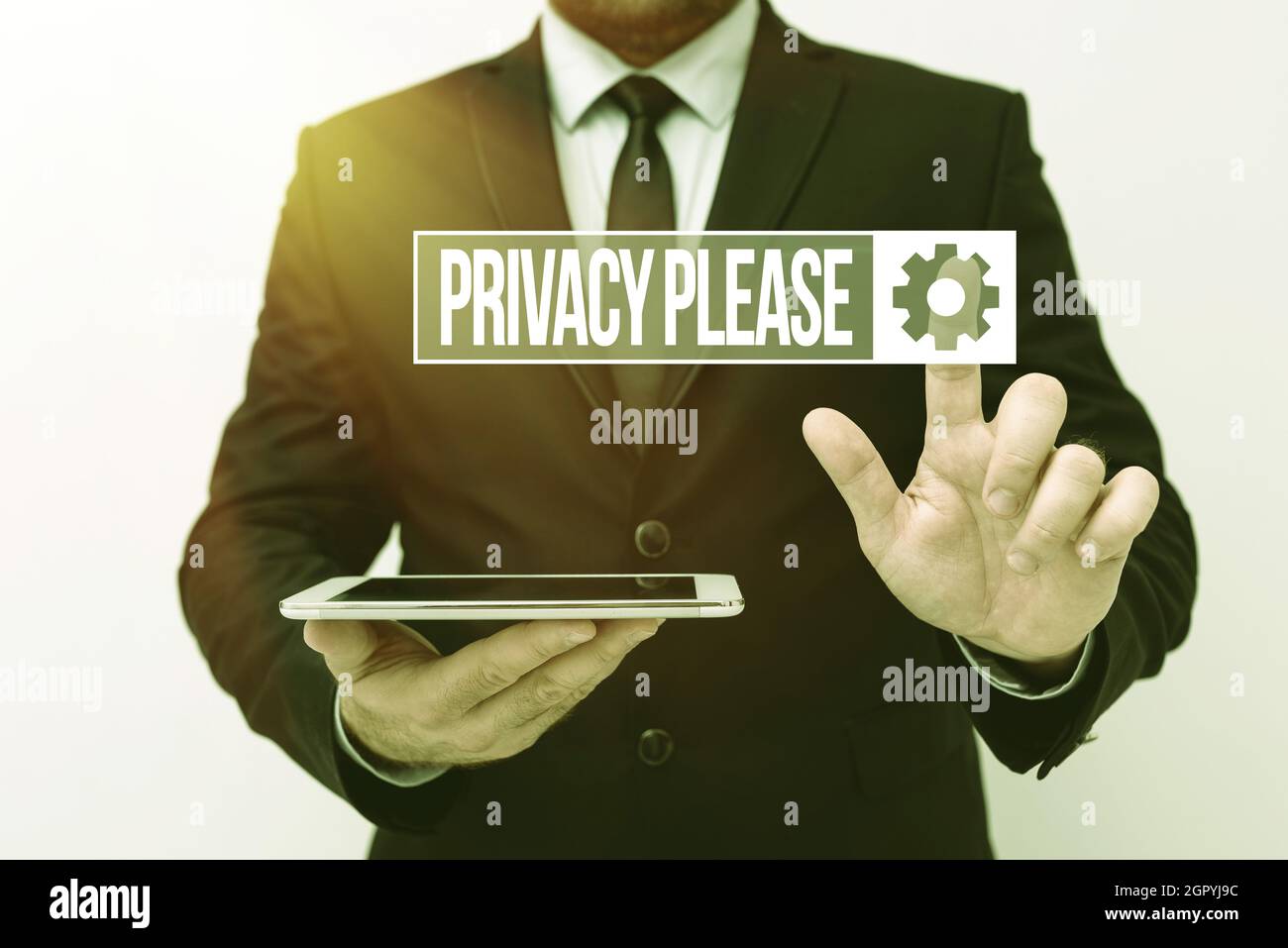 Conceptual display Privacy Please. Business showcase asking someone to ...