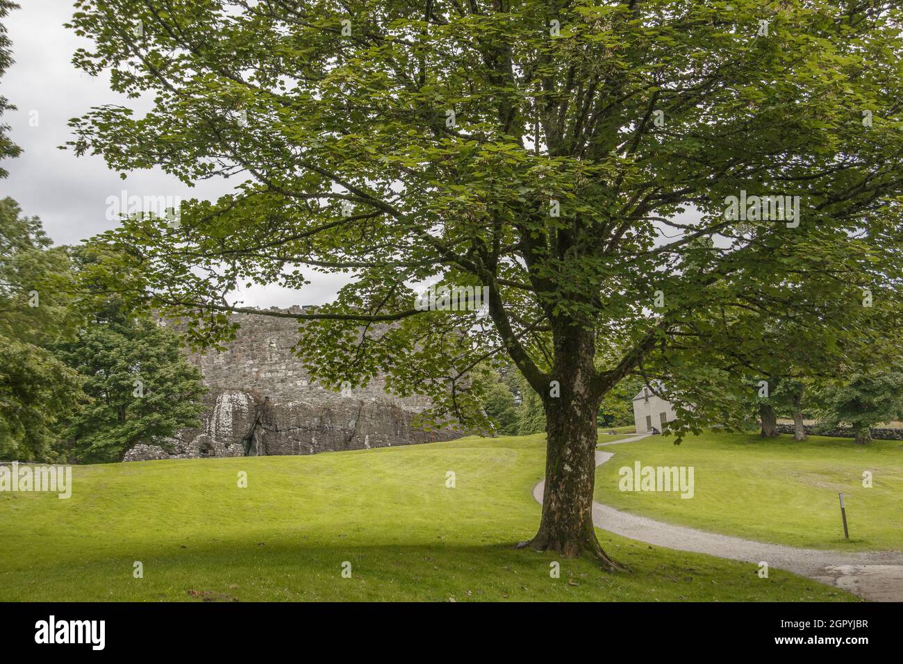 Queen Elizabeth Forest Park Duchray UK Stock Photo - Alamy
