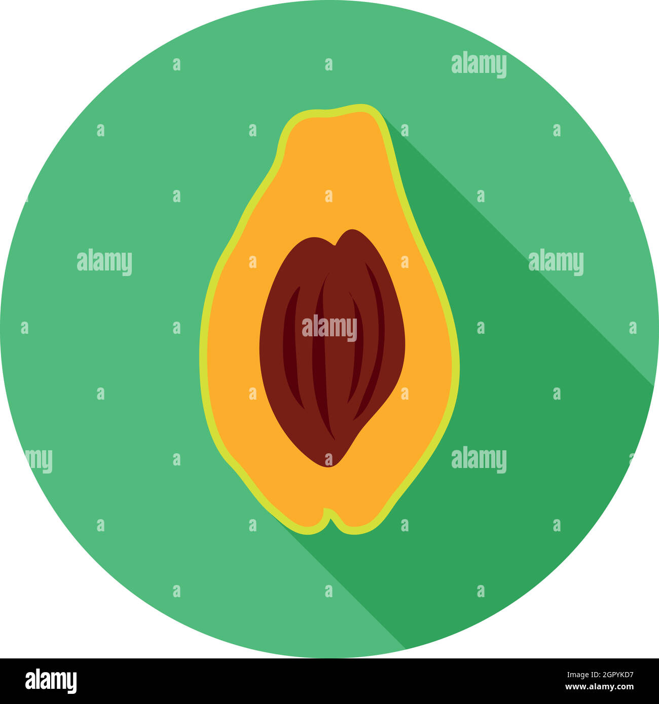 Avocado fresh cut in Stock Vector Images - Alamy