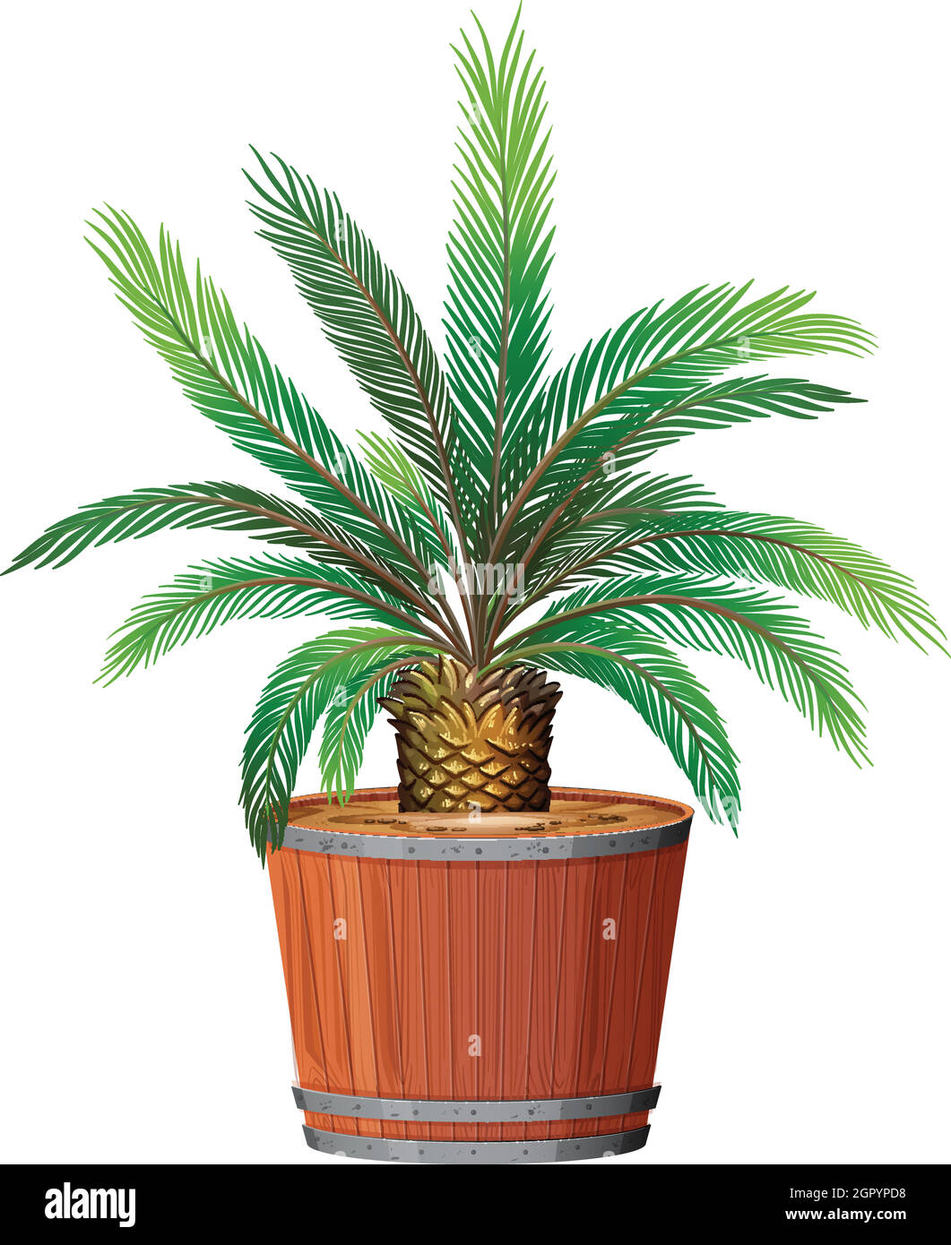 Growing plant in soil Stock Vector Images - Alamy