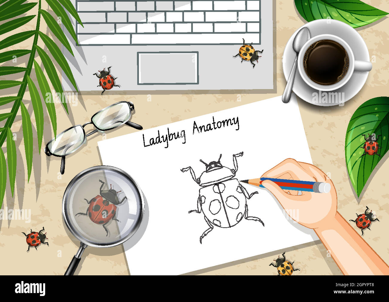 Elements of physiology Stock Vector Images - Alamy