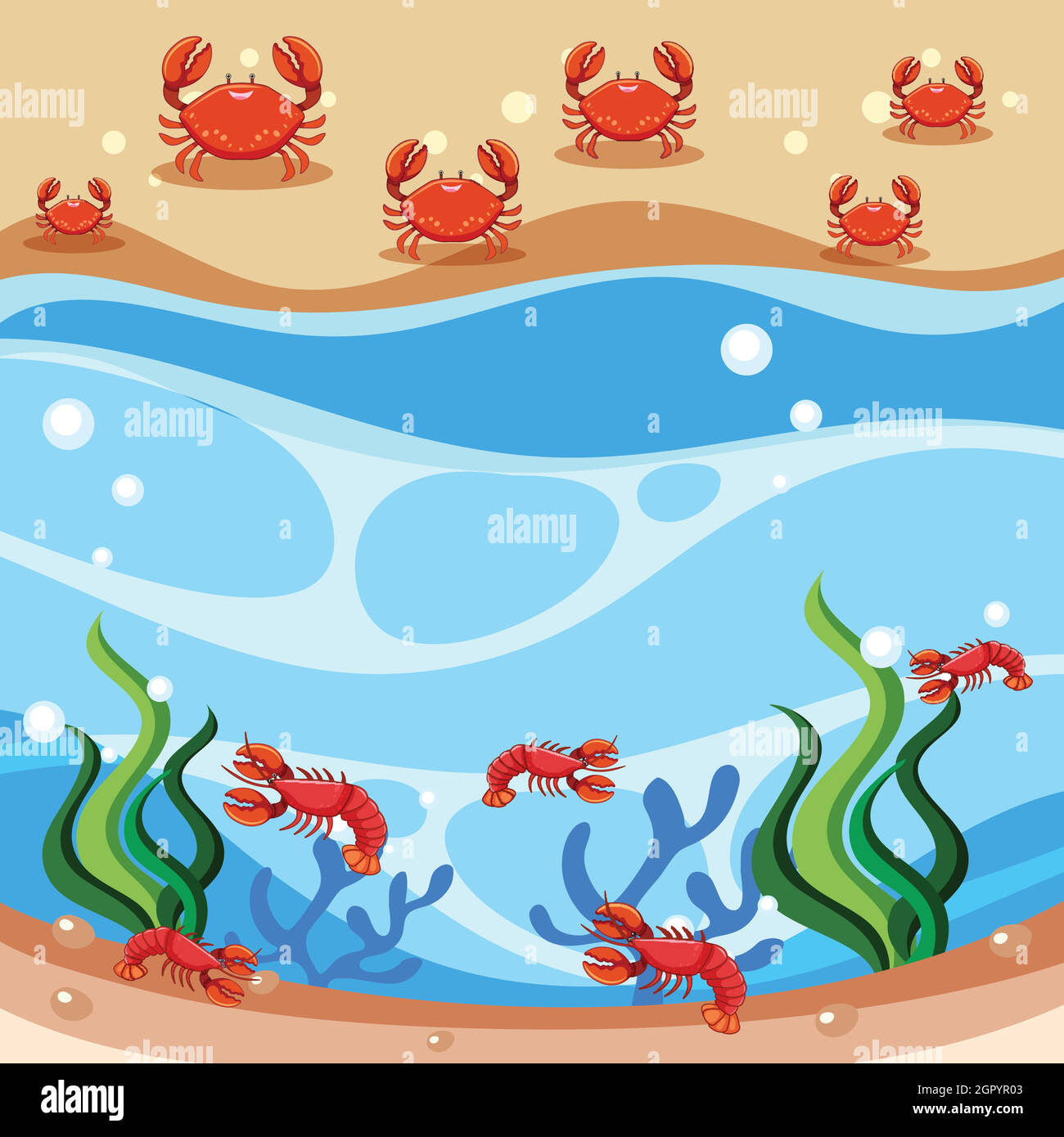 Scene of crabs and shrimp Stock Vector Image & Art - Alamy