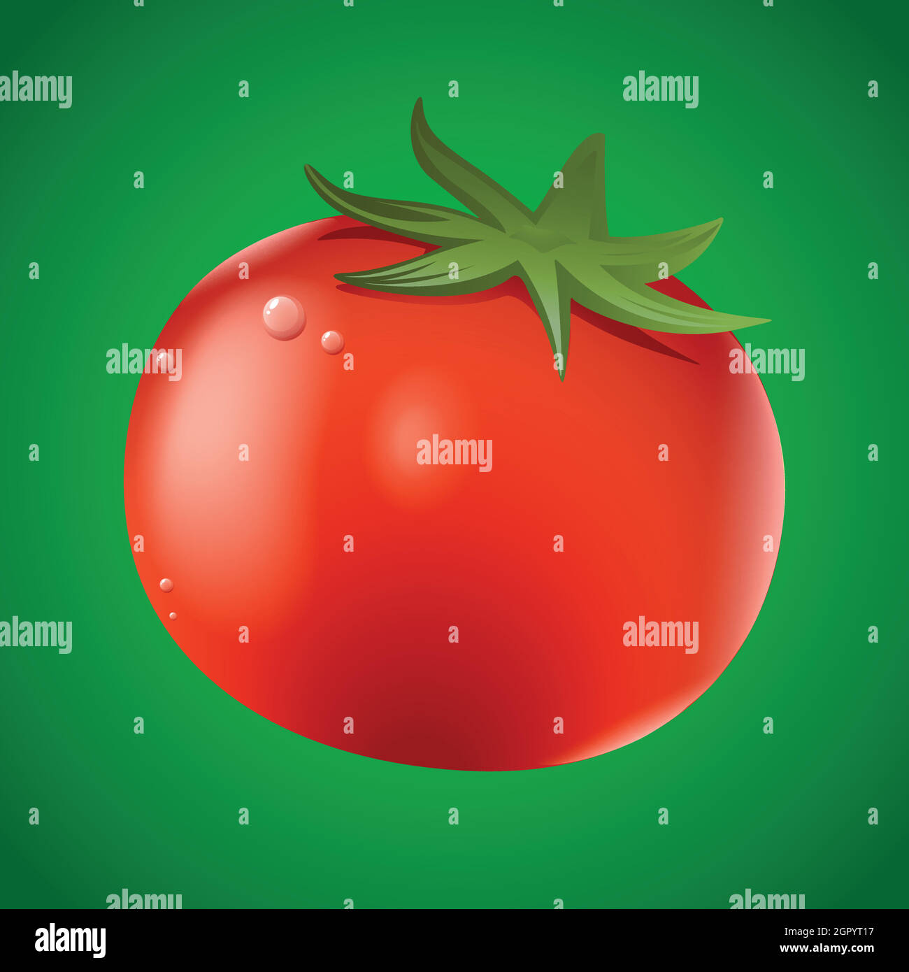 One fresh red tomato Stock Vector Images - Alamy