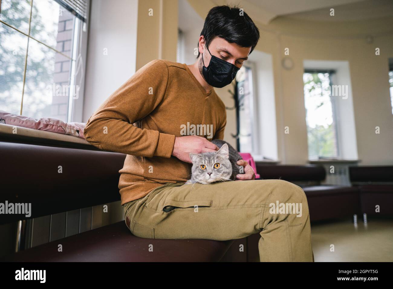 Owner cat in mask hi-res stock photography and images - Alamy