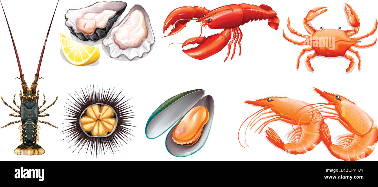 Fresh seafood background Stock Vector Images - Alamy