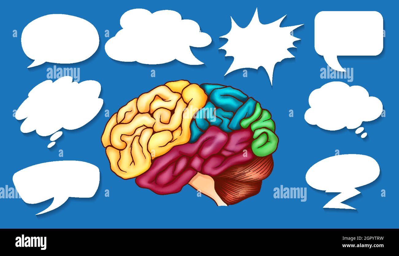 Different shapes of speech bubbles and colorful brain Stock Vector ...