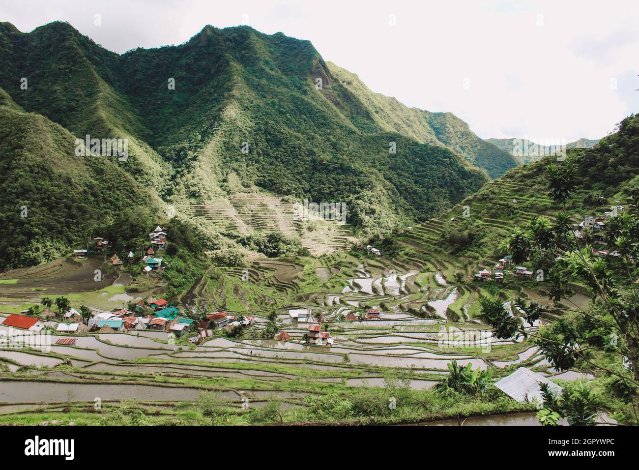 rice terraces batad philippines Stock Photo - Alamy