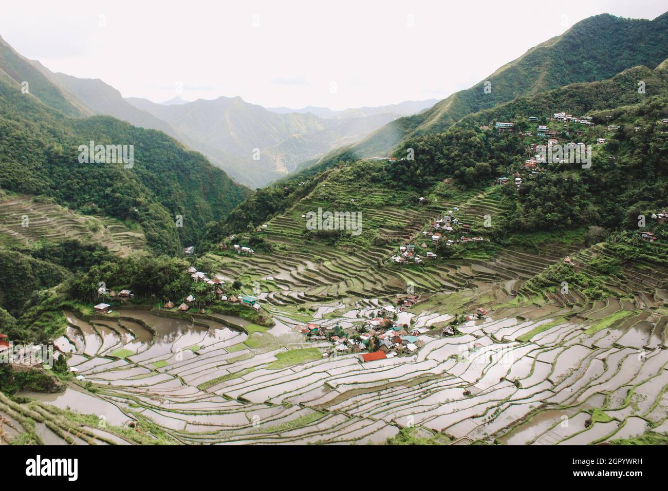 rice terraces batad philippines Stock Photo - Alamy