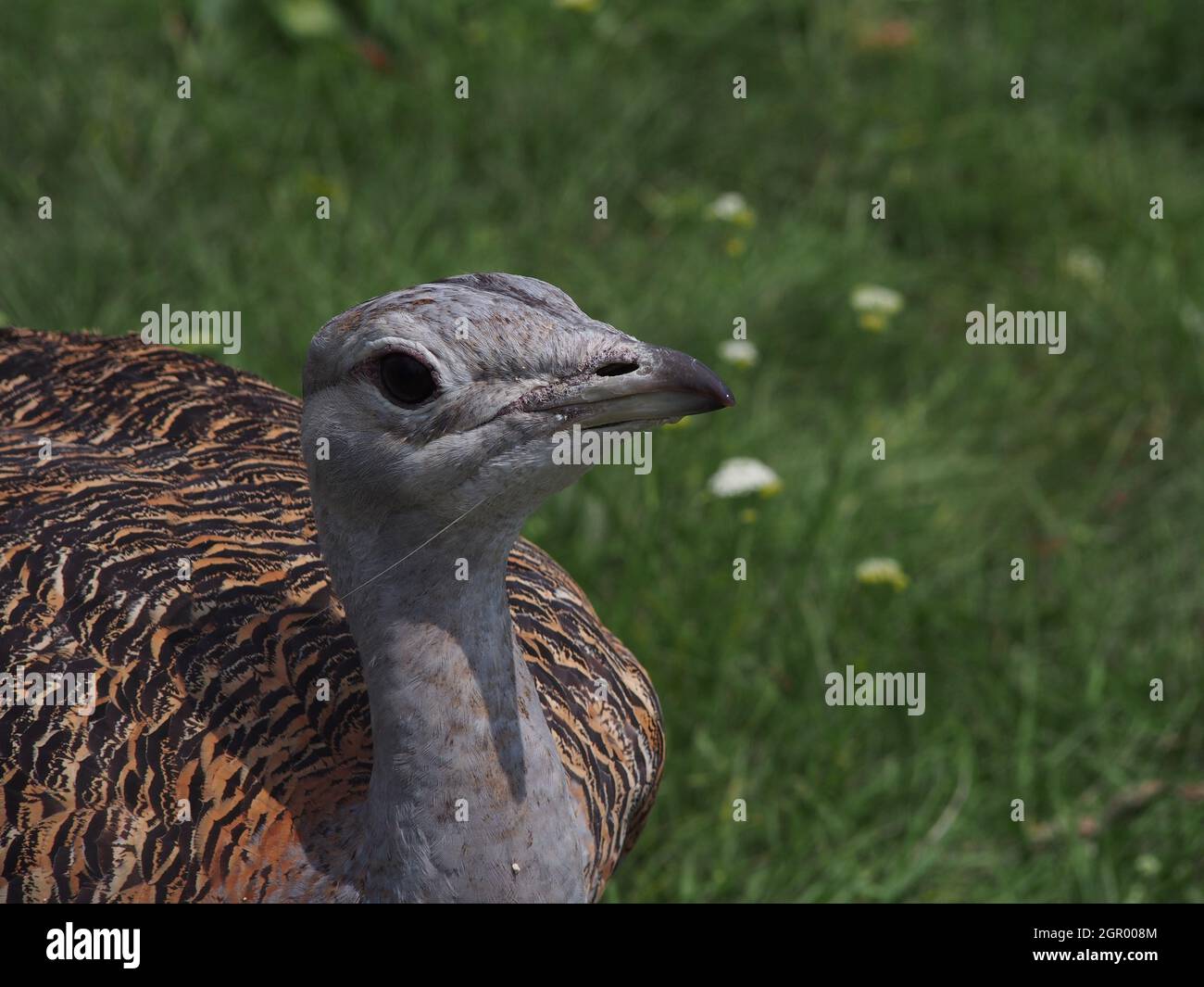 Field eagle eye view hi-res stock photography and images - Alamy