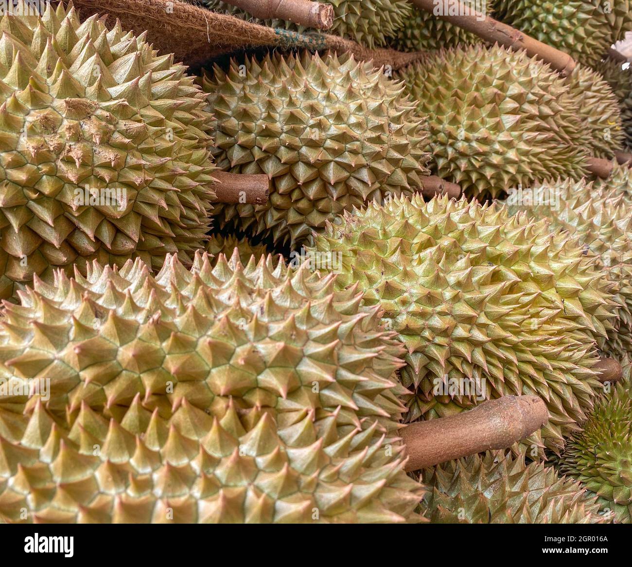 Close up thai durian hi-res stock photography and images - Alamy