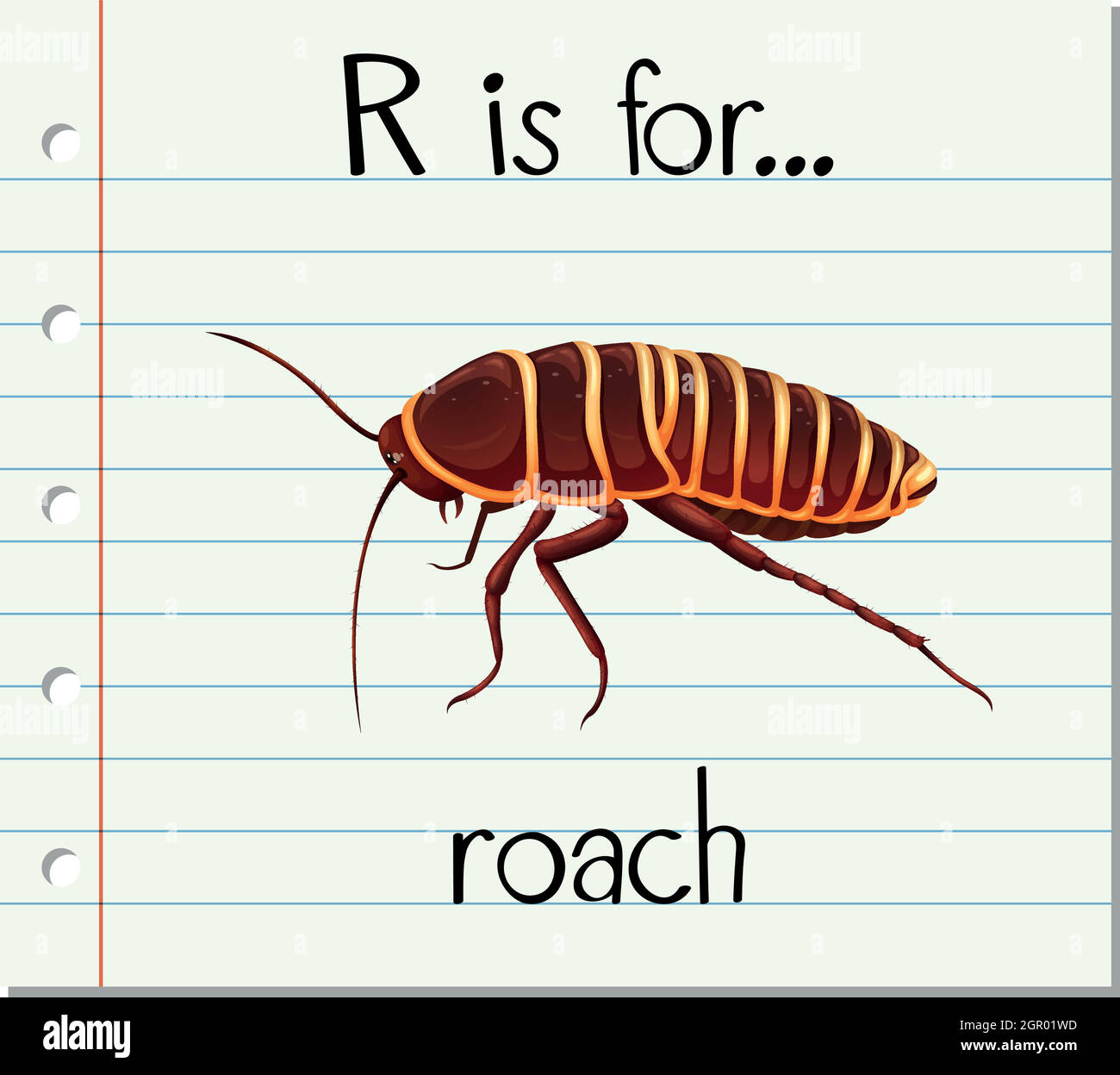 Flashcard letter R is for roach Stock Vector Image & Art - Alamy