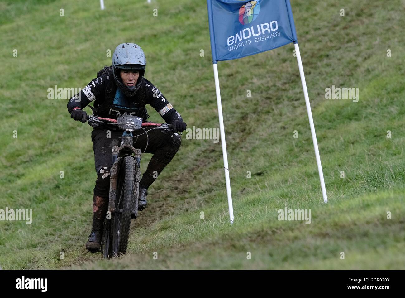 Tracy tweed hi-res stock photography and images - Alamy