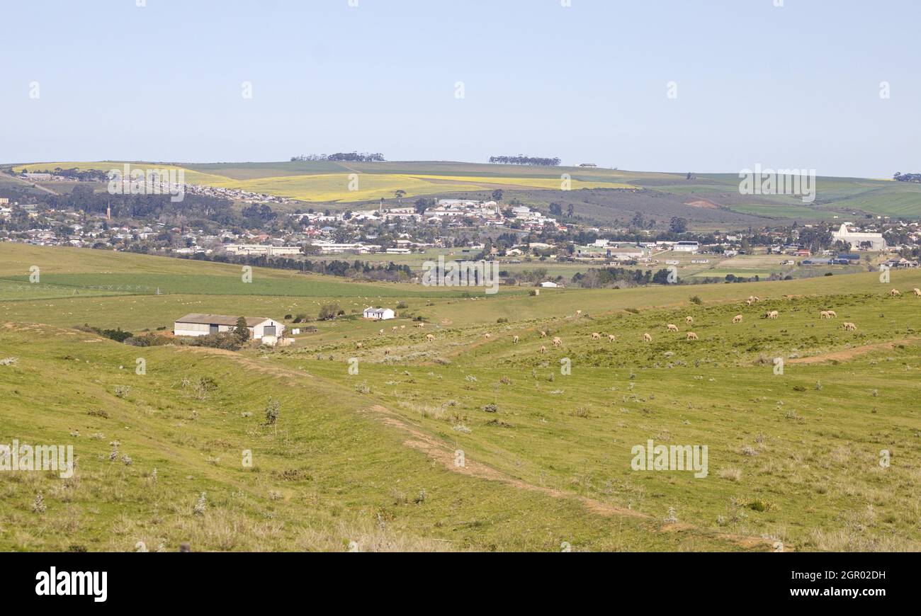 Farmland in Western Cape Province, South Africa Stock Photo - Alamy