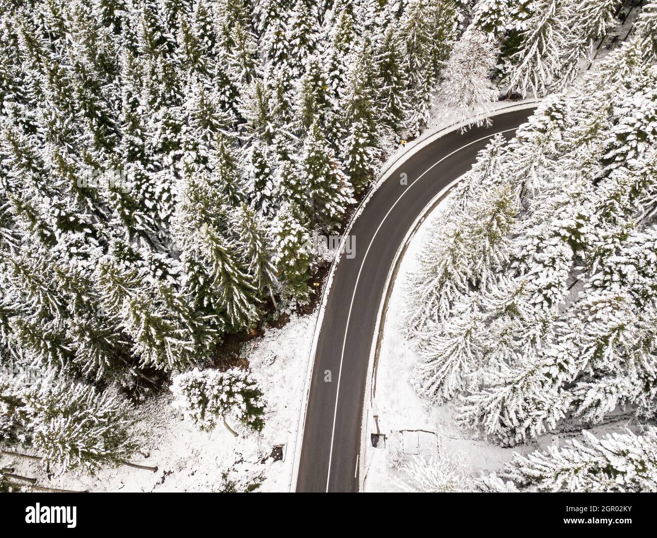Winding path windy park hi-res stock photography and images - Alamy