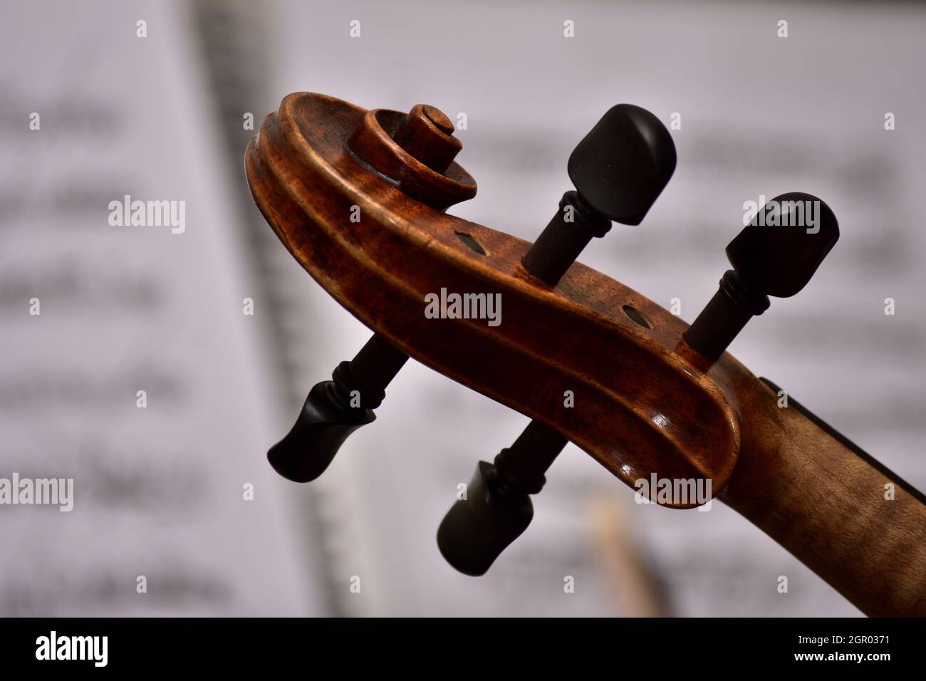 Bowed Instruments High Resolution Stock Photography and Images - Alamy