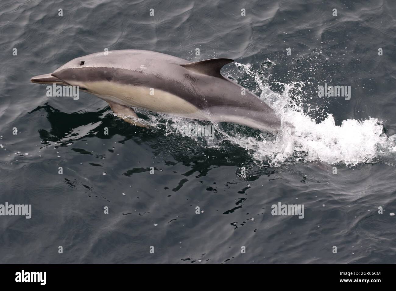 Sequence of 8 photographs hi-res stock photography and images - Alamy