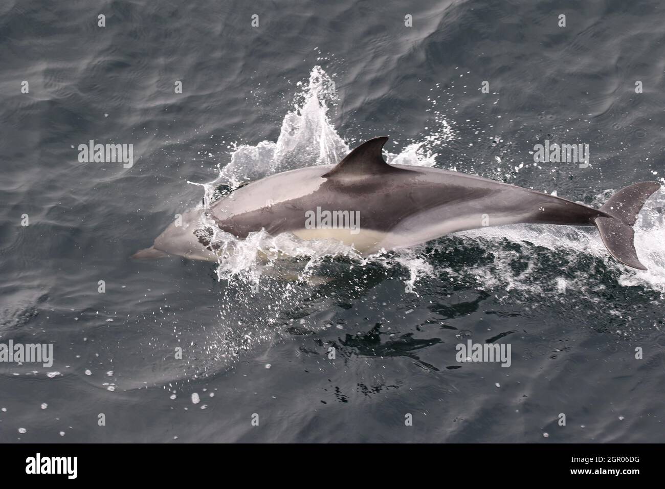 Sequence Of 8 Photographs High Resolution Stock Photography and Images ...