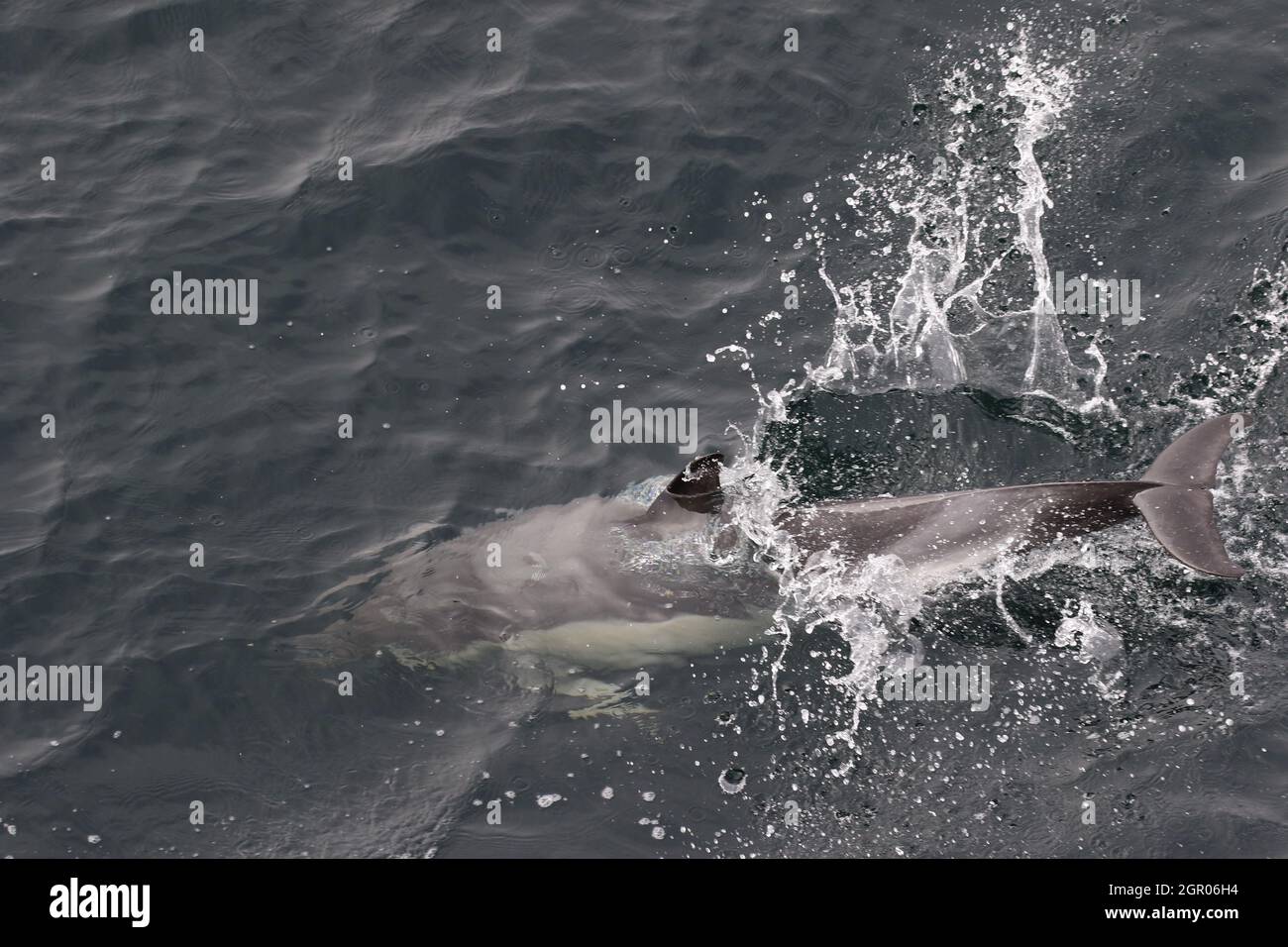 Sequence of 8 photographs hi-res stock photography and images - Alamy