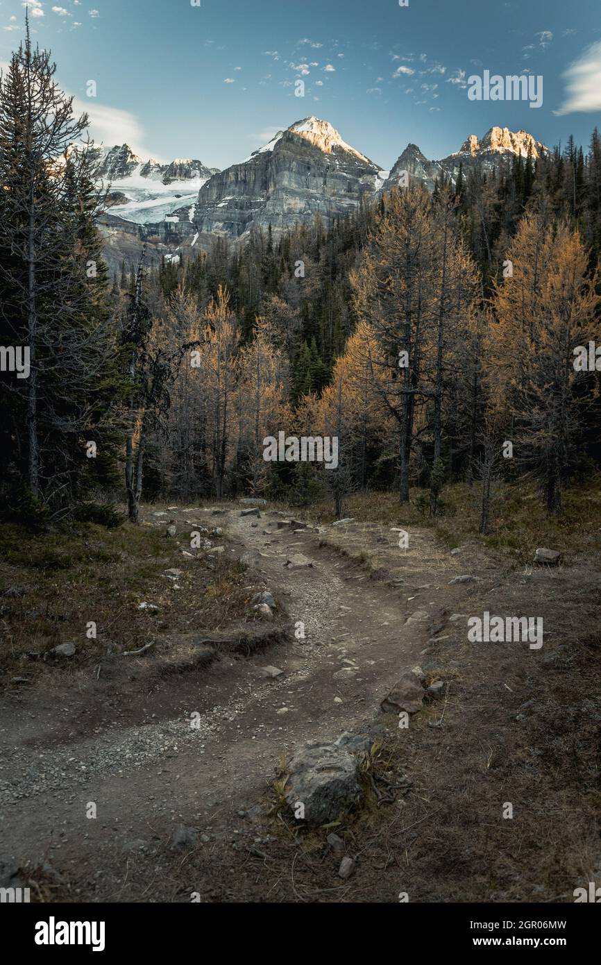 The chosen path hi-res stock photography and images - Alamy