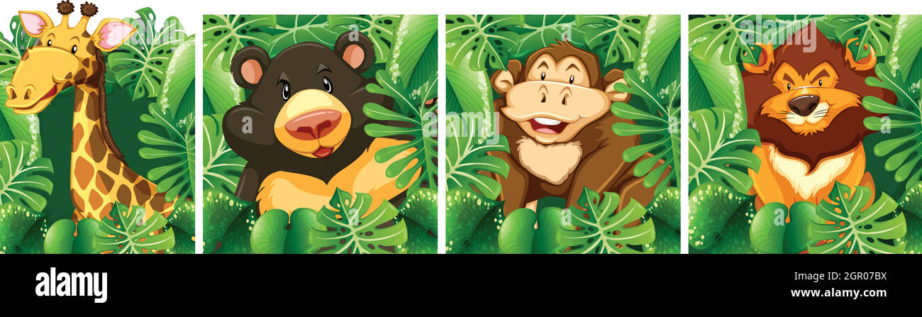 Wild animals behind the bush Stock Vector Image & Art - Alamy