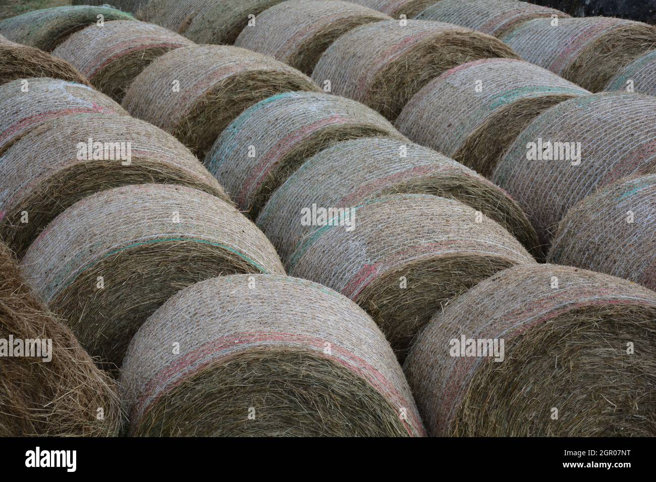 Wool bale bales hi-res stock photography and images - Alamy
