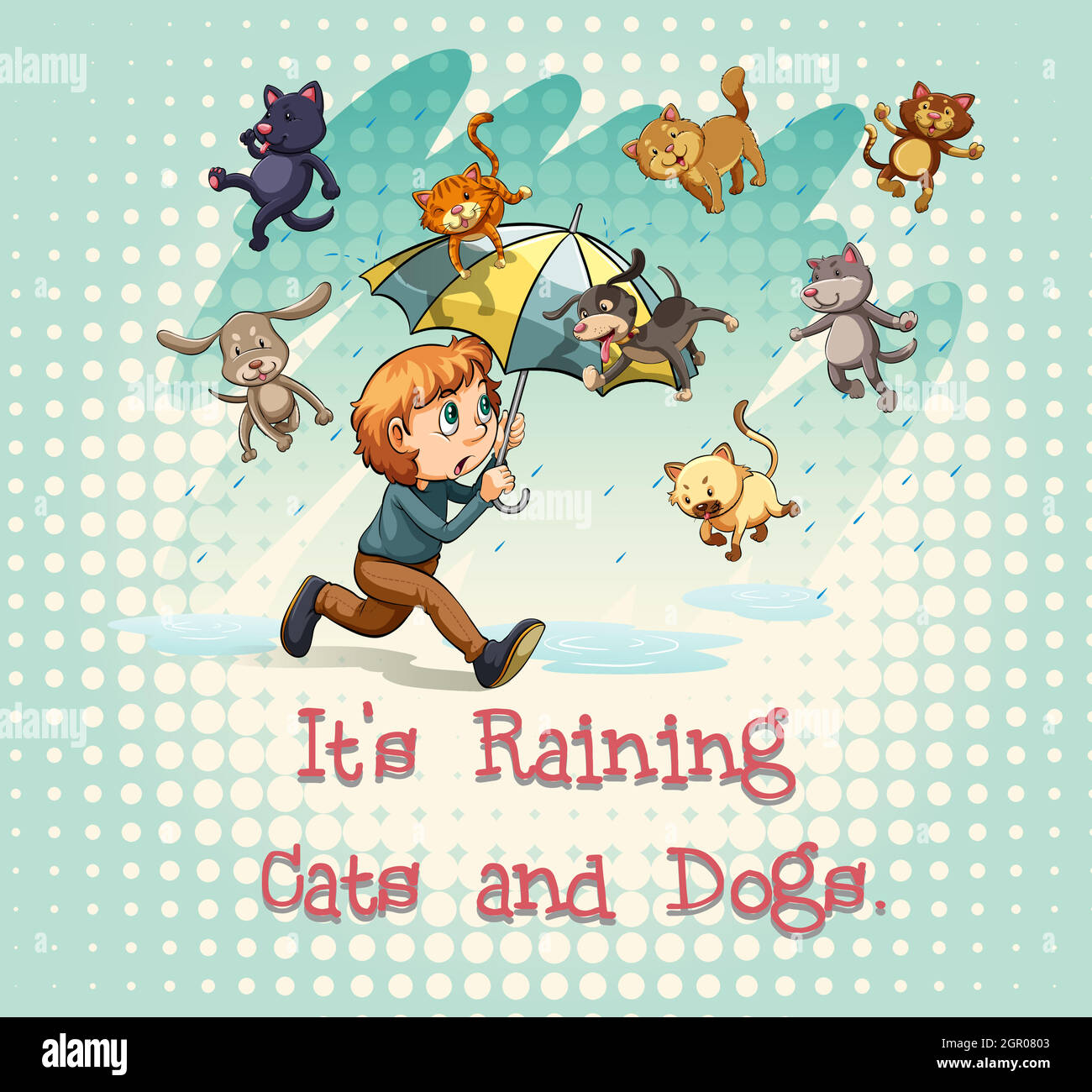 Idiom animals hi-res stock photography and images - Alamy