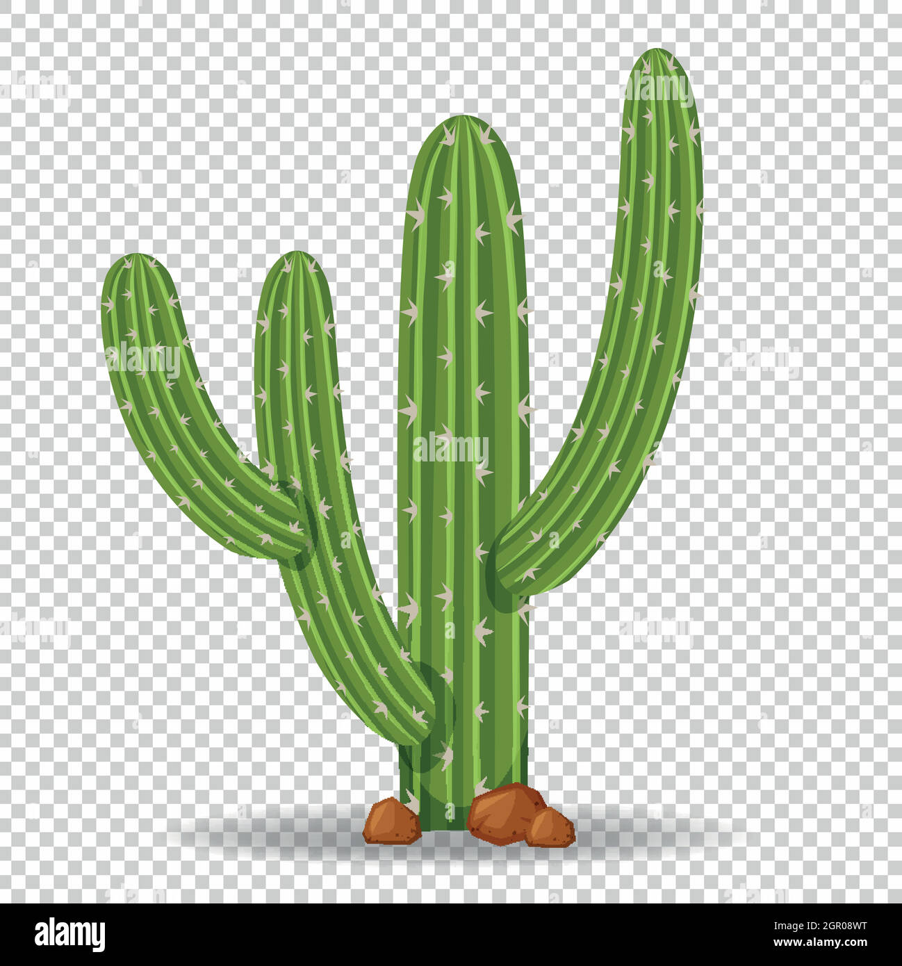Cactus tree on transparent background Stock Vector Image & Art - Alamy