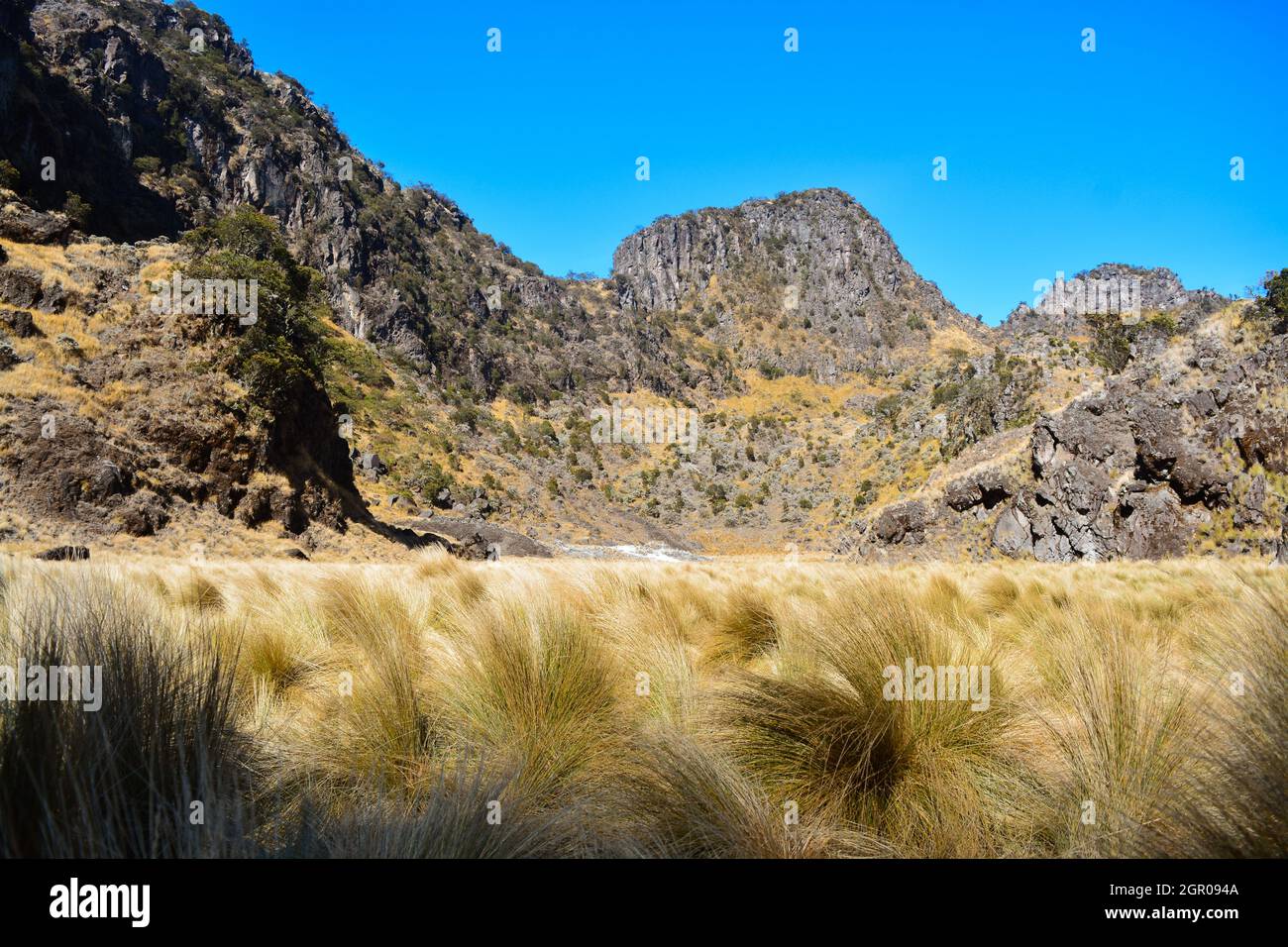 Tropical savanna climate hi-res stock photography and images - Alamy