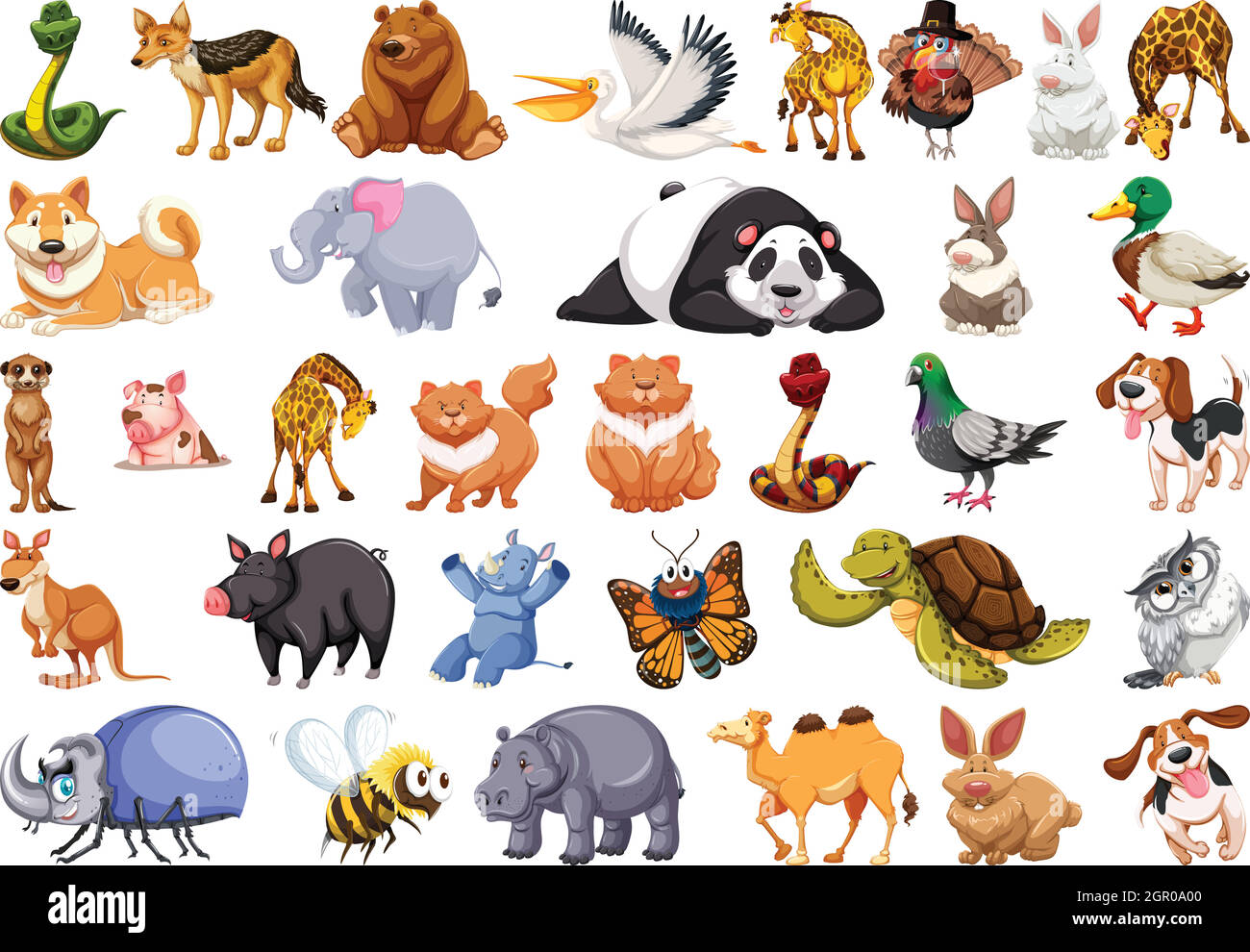 Group diverse isolated animals hi-res stock photography and images - Alamy