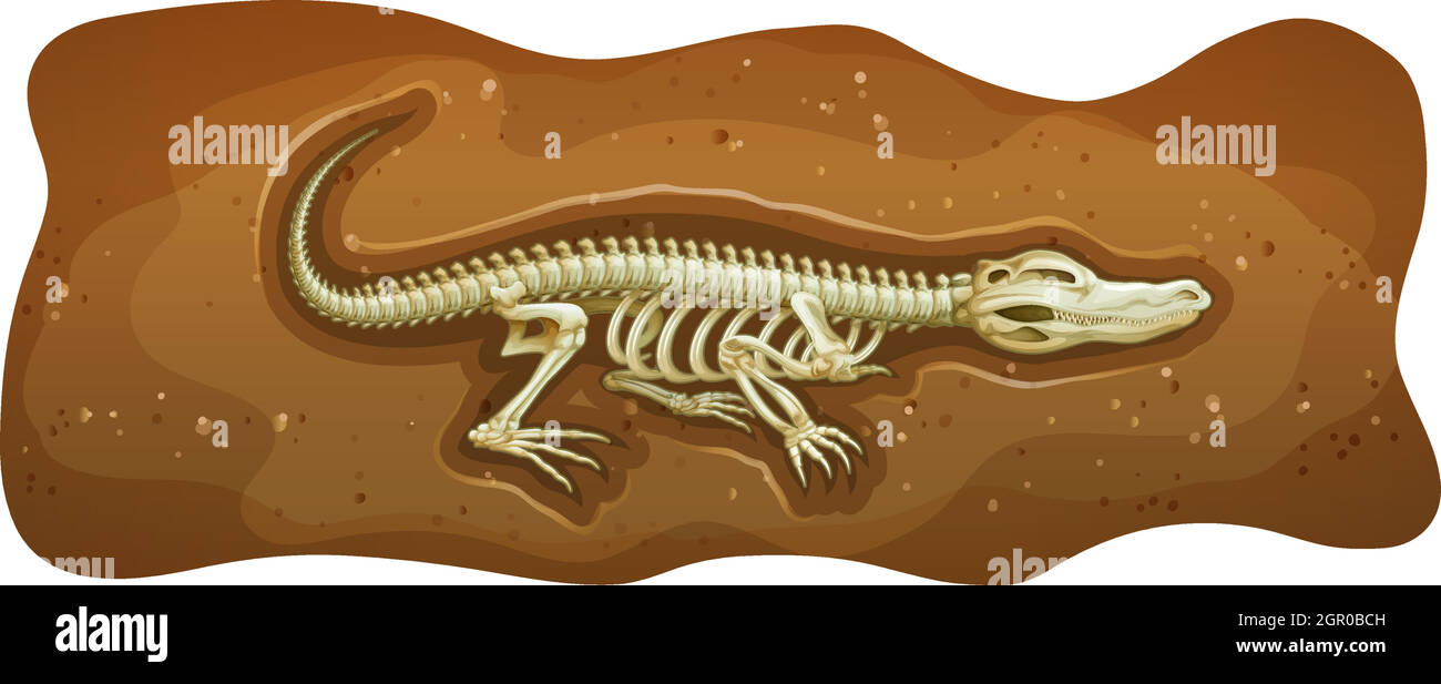 Fossil research Cut Out Stock Images & Pictures - Alamy