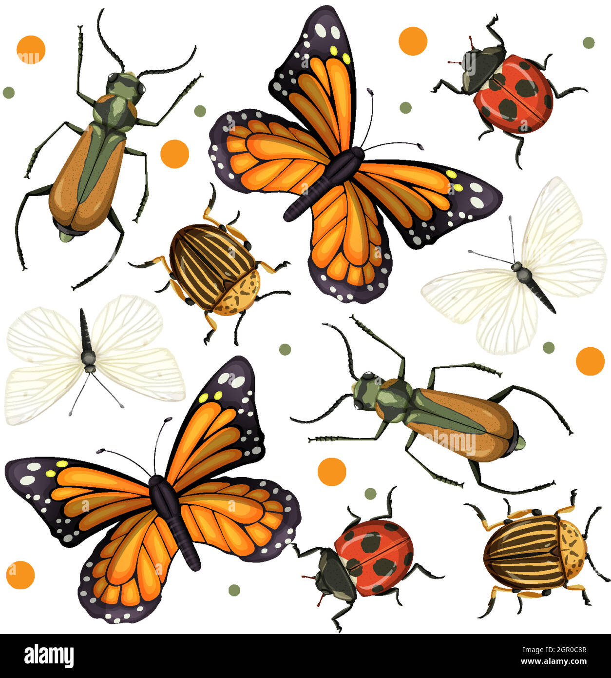 Set of different insects on white background Stock Vector Image & Art ...