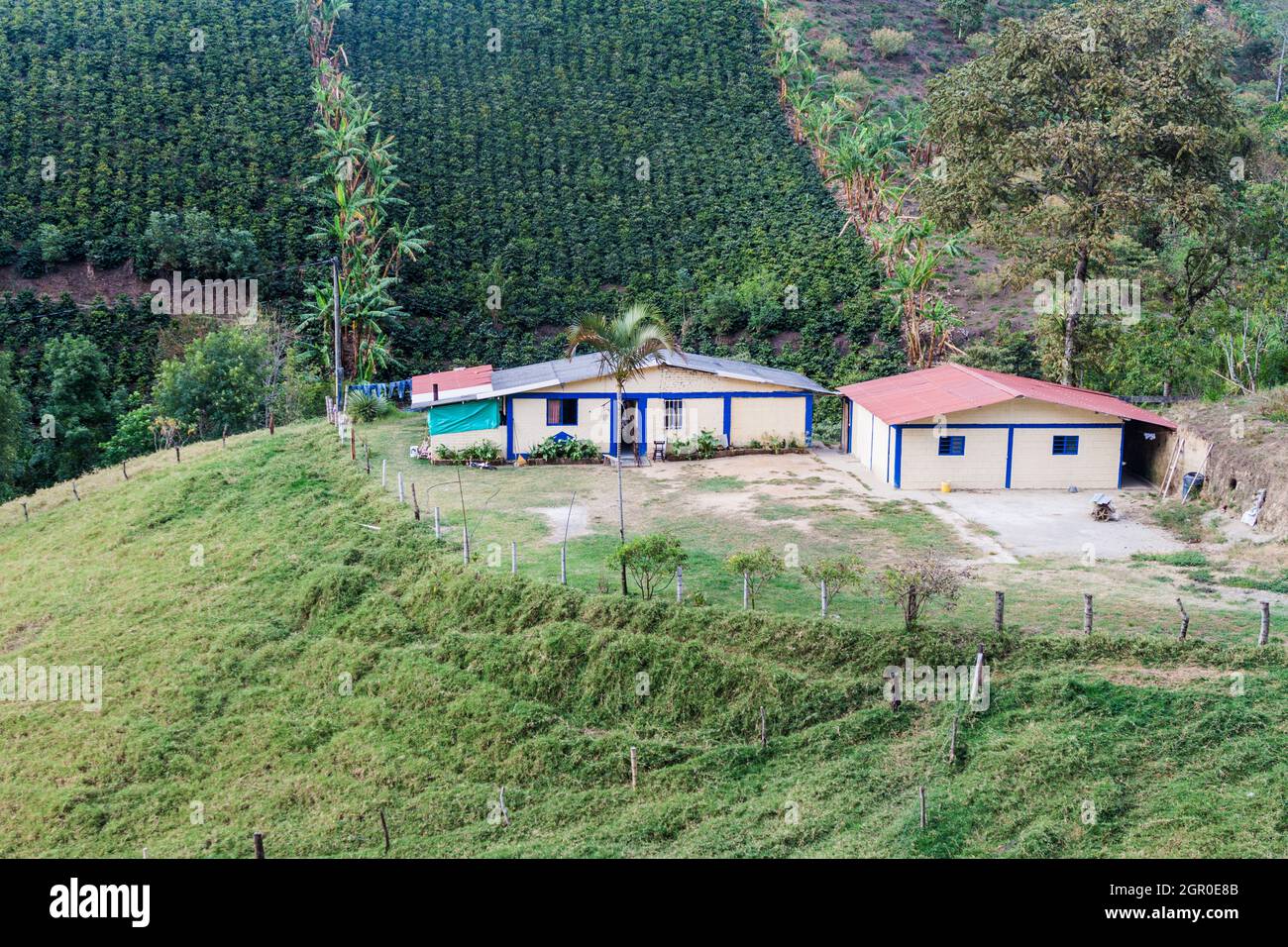 Small coffee farm near Salento village, Colombia Stock Photo - Alamy