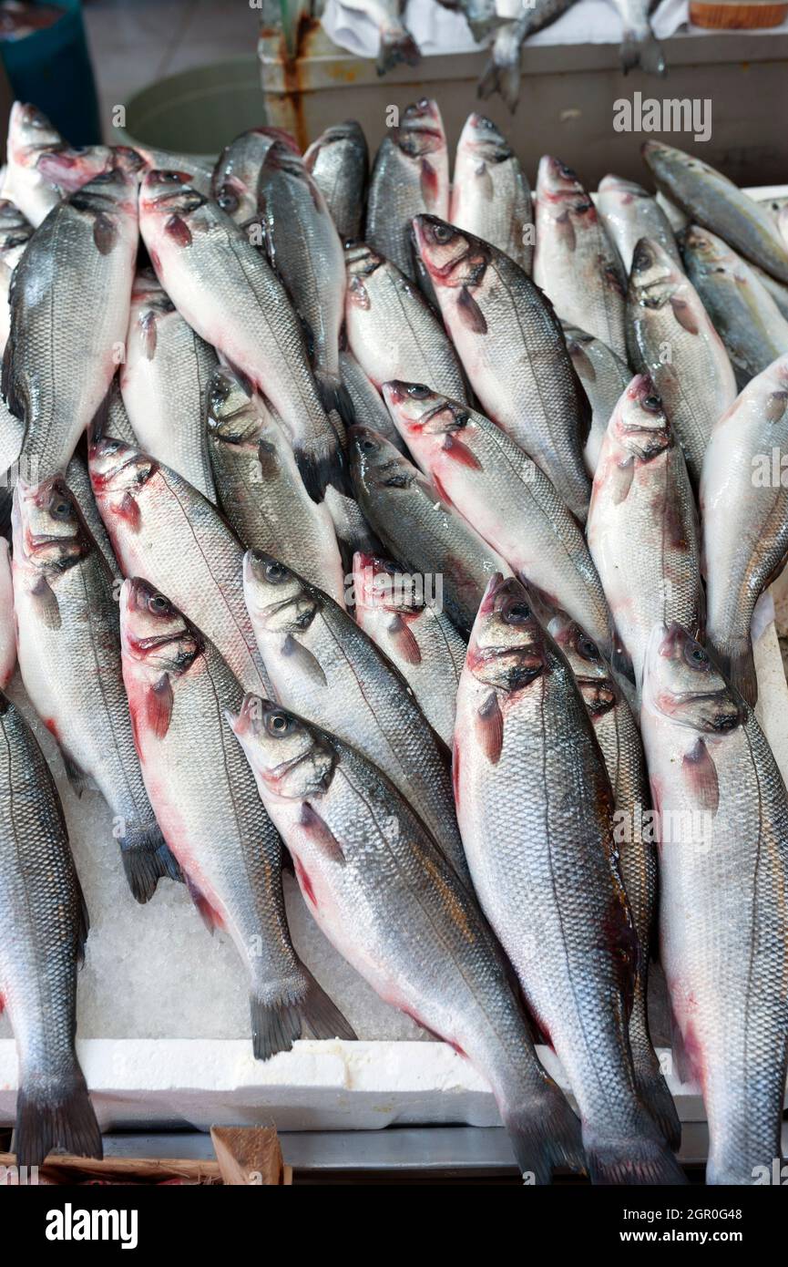 Fish seafood illustration hi-res stock photography and images - Alamy