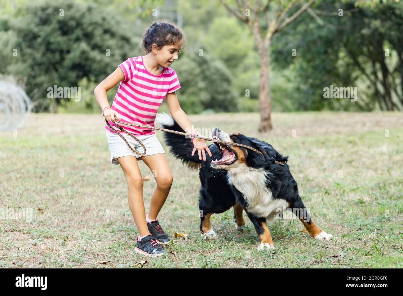 Person mad dog hi-res stock photography and images - Alamy