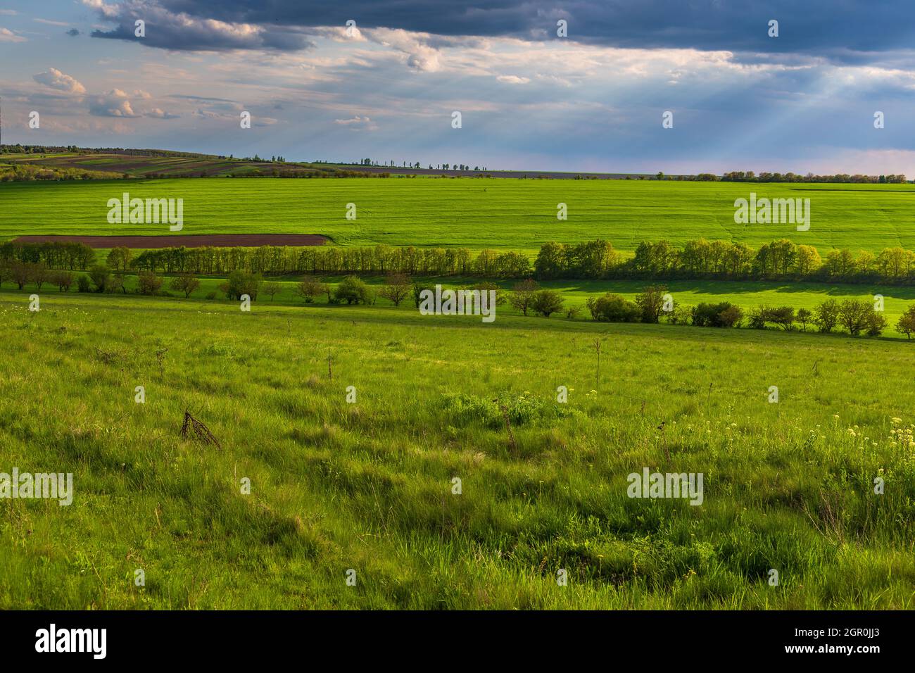 Farmlands and meadows in the Moldavian countryside. Spring season ...