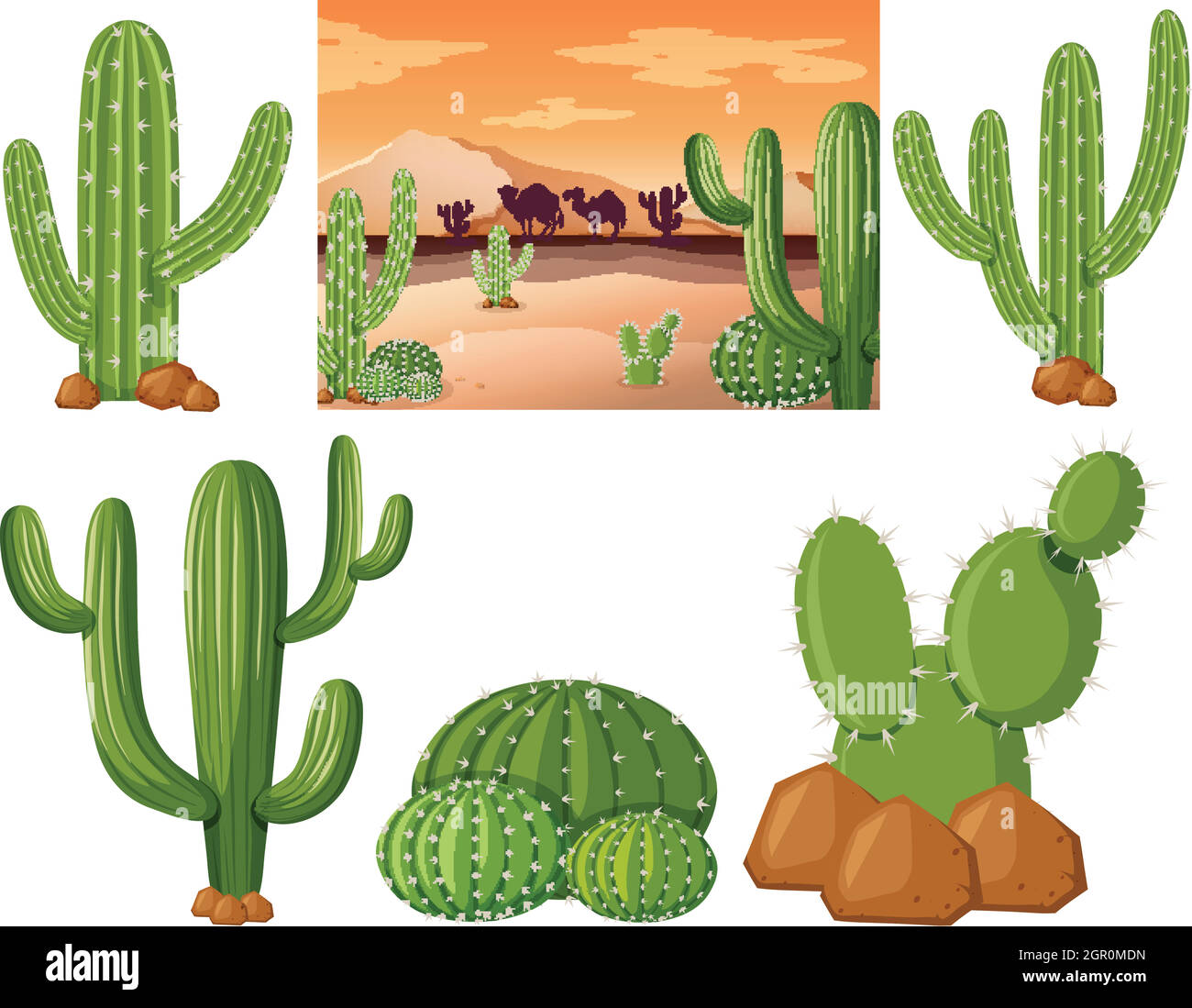 Cactus plants desert plant Stock Vector Images - Alamy