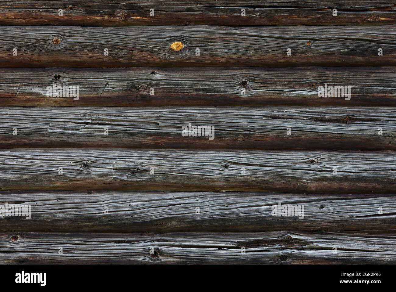 Ancient log hi-res stock photography and images - Alamy