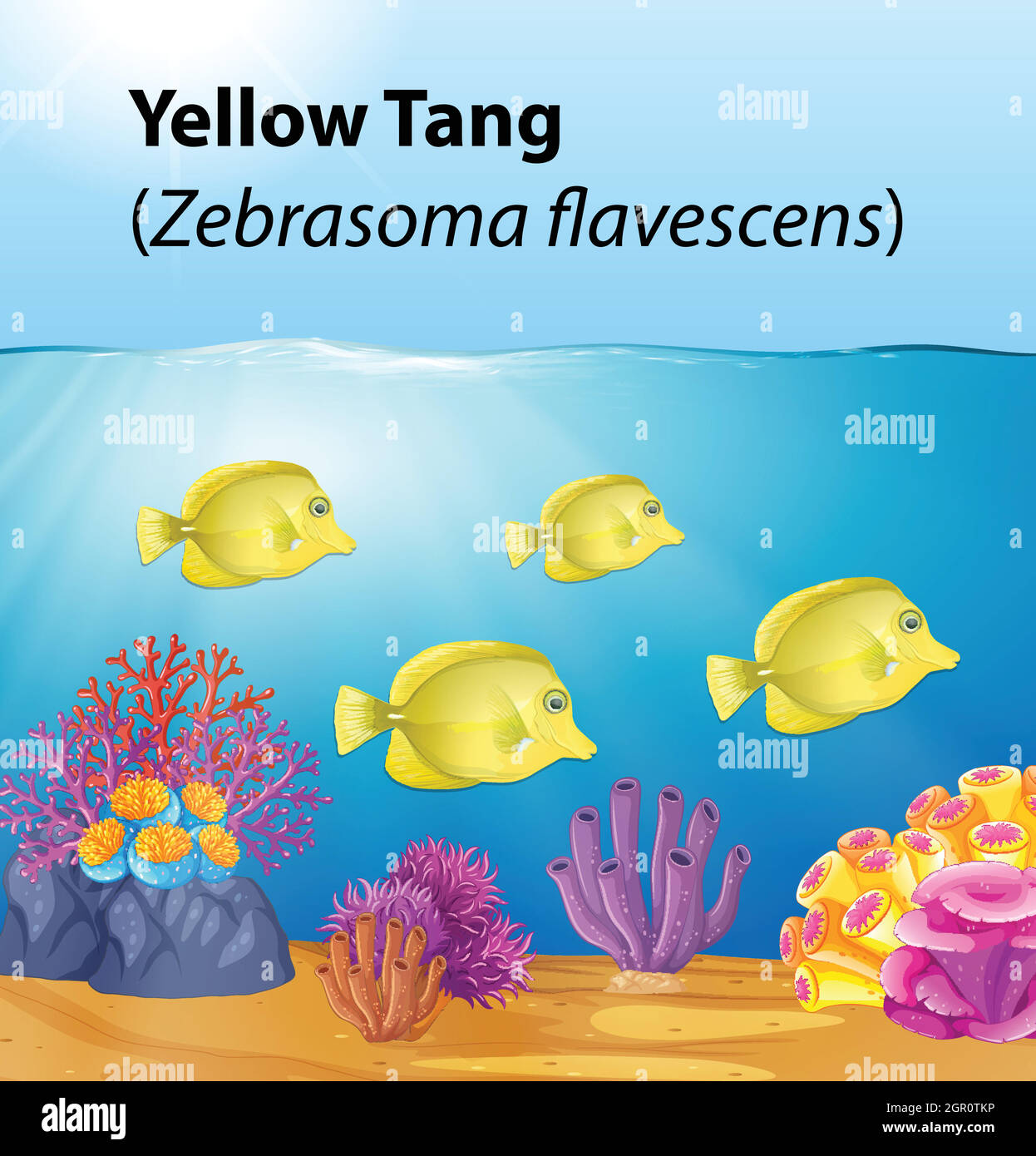Yellow tang under deep ocean Stock Vector Image & Art - Alamy