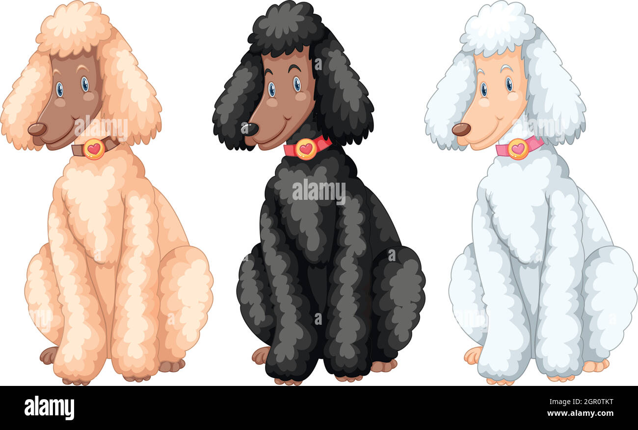 Poodle clip art Stock Vector Images - Alamy