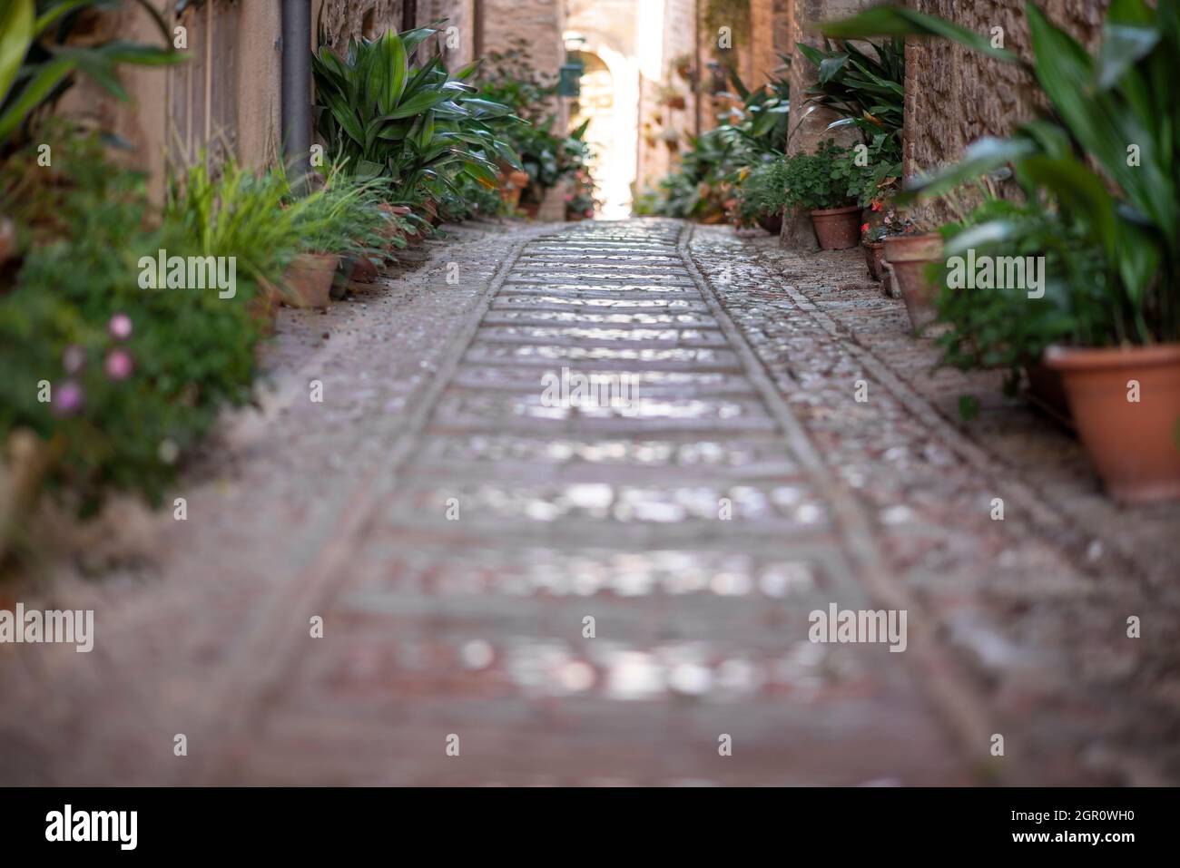 Italian stone pavement pattern hi-res stock photography and images - Alamy