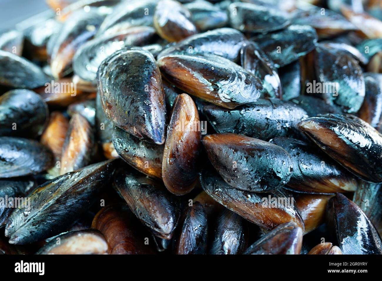 Mussel, stuffed mussels Stock Photo - Alamy