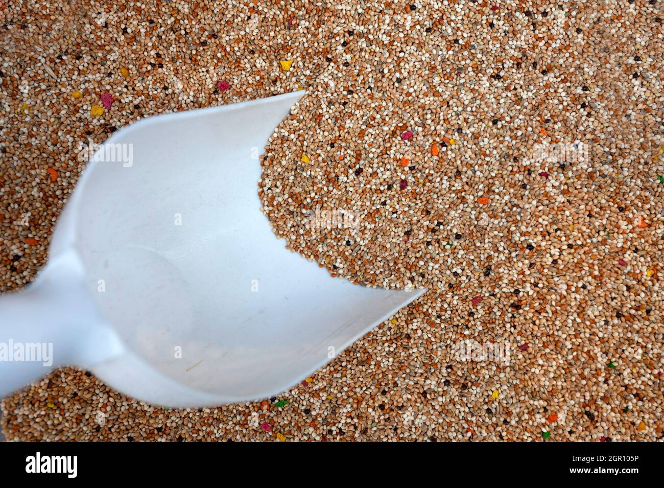 Bird food, birdseed Stock Photo - Alamy