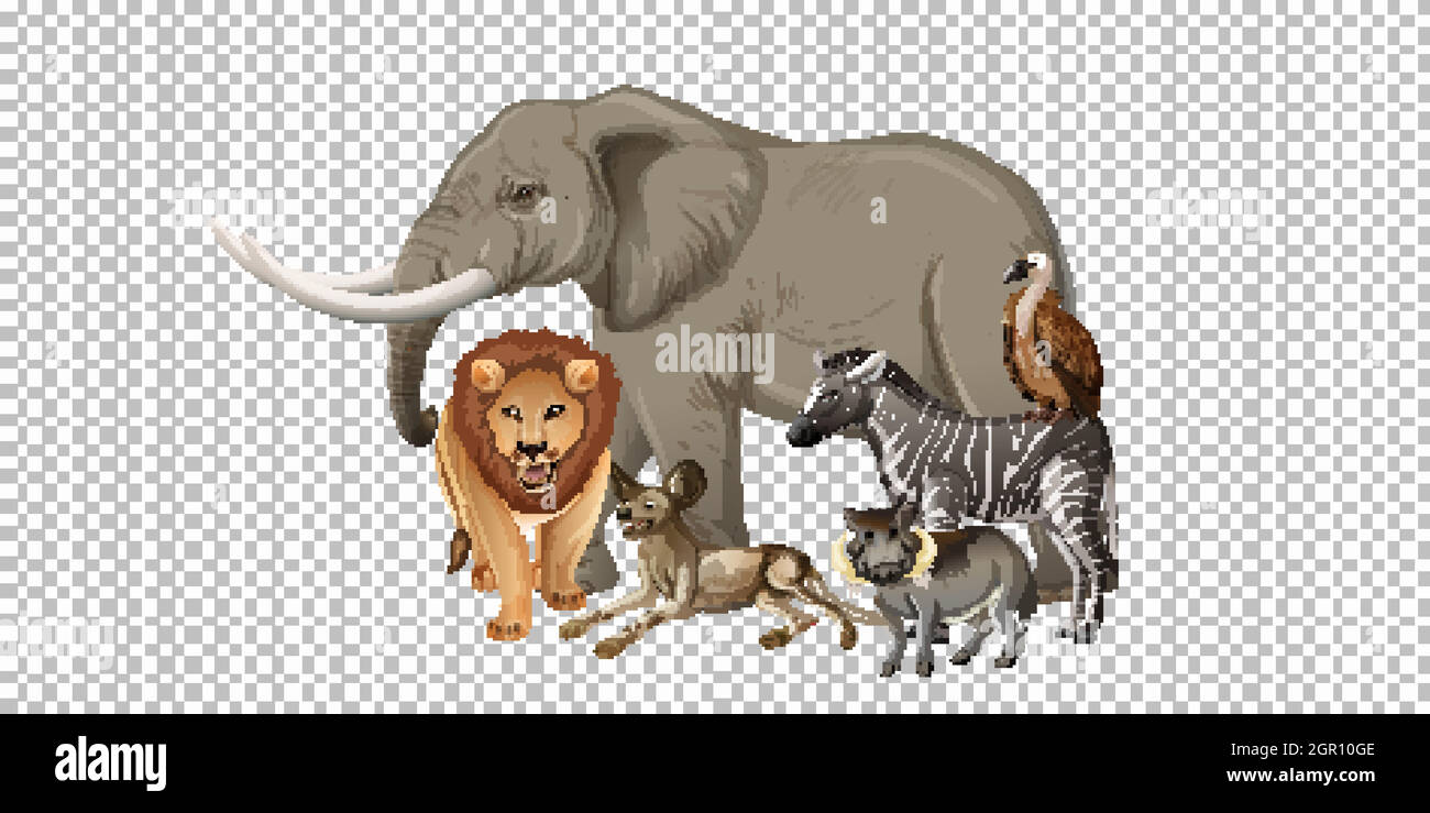 Group of wild african animal on transparent background Stock Vector ...
